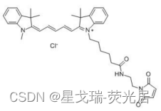 Cyanine5 maleimide马来酰亚胺活化荧光染料Cy5；1437872-46-2_cy5标记细胞成像-CSDN博客