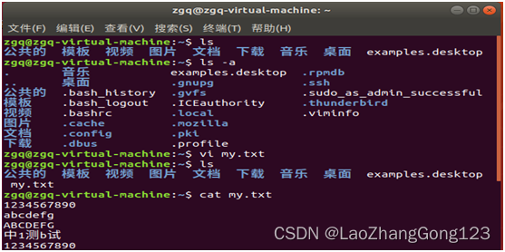 Linux第13步安装 Vim编辑器”及应用介绍apt Get Install Vim Csdn博客