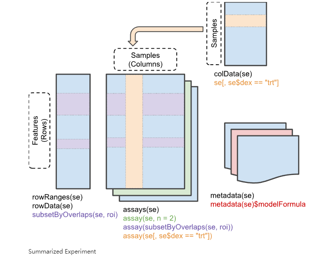 R -- SummarizedExperiment-CSDN博客