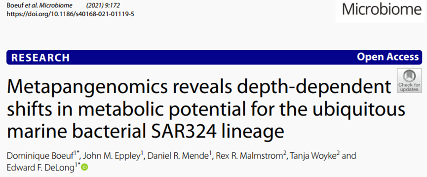 Microbiome|宏泛基因组揭示海洋细菌SAR324代谢潜力的依赖变化-CSDN博客