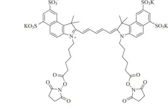 Sulfo-Cy5.5 bis-SE，Sulfo-Cy5.5双琥珀酰亚胺酯，用于标记肽和寡聚体等生物分子-CSDN博客