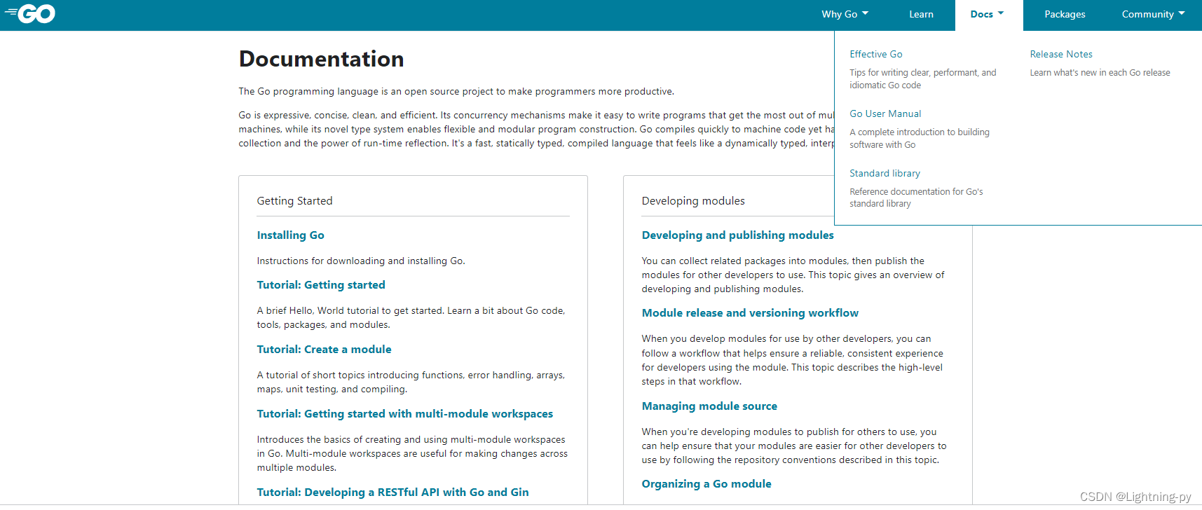 Windows系统安装Go语言环境_windows go-CSDN博客