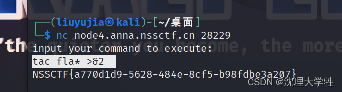 FSCTF 2023（公开赛道）（pwn持续更新中）_[fsctf 2023]nc-CSDN博客