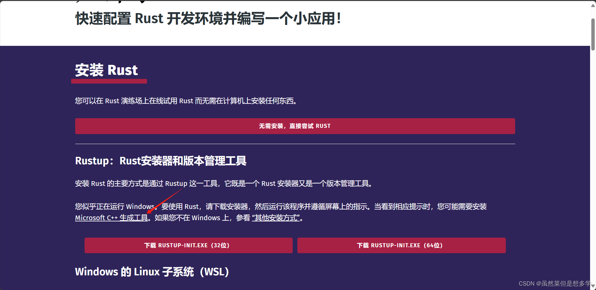 Rust安装（win版本）_windows rust安装-CSDN博客