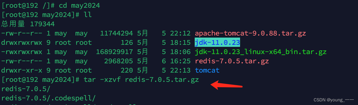 linux上Redis安装使用_linux redis-CSDN博客