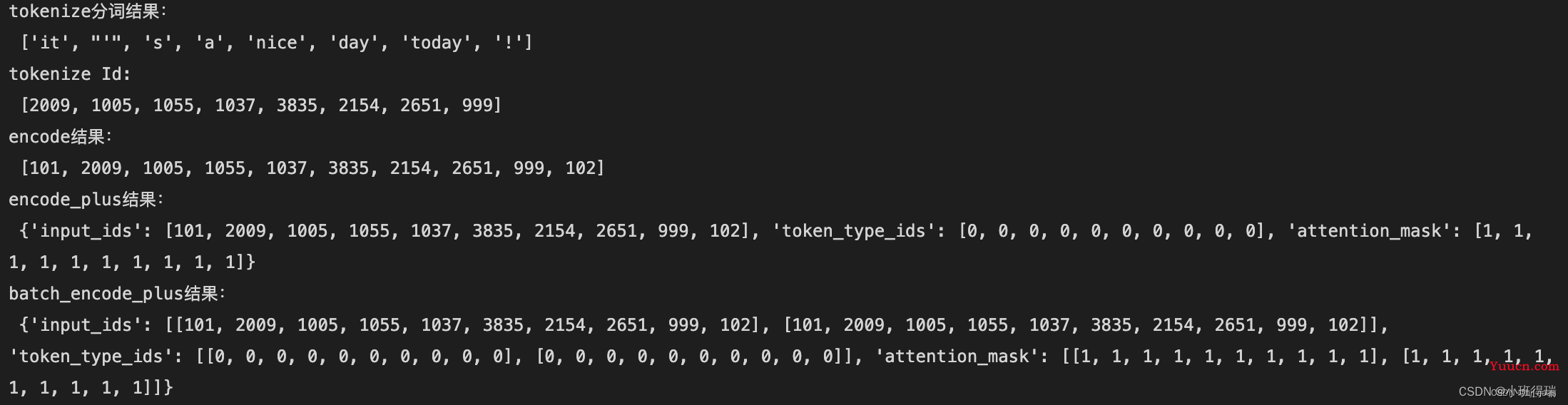 BERTTokenizer详解：batch_encode_plus函数在Transformer中的应用-CSDN博客