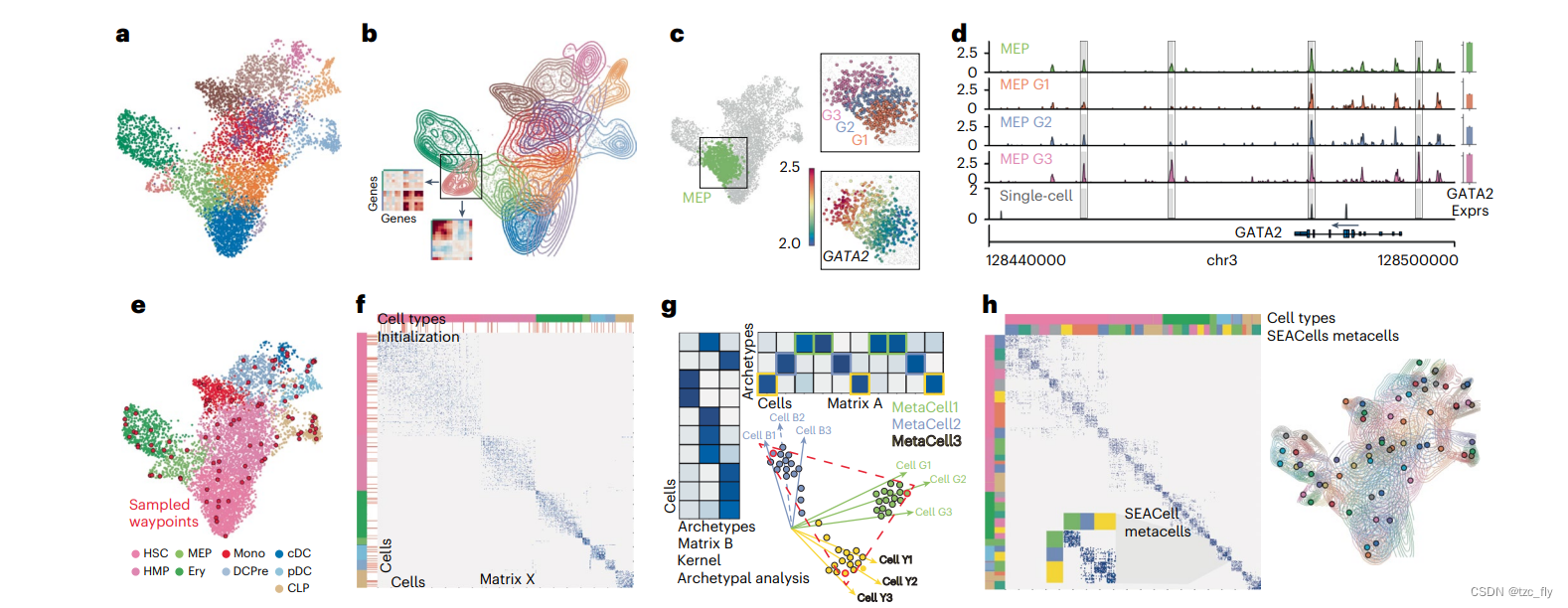 SEACells：元细胞分析-CSDN博客