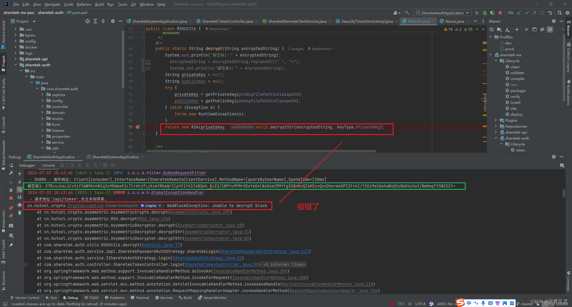 RSA解密，报错：“cn.hutool.crypto.CryptoException: BadBlockException: unable to decrypt block”-CSDN博客