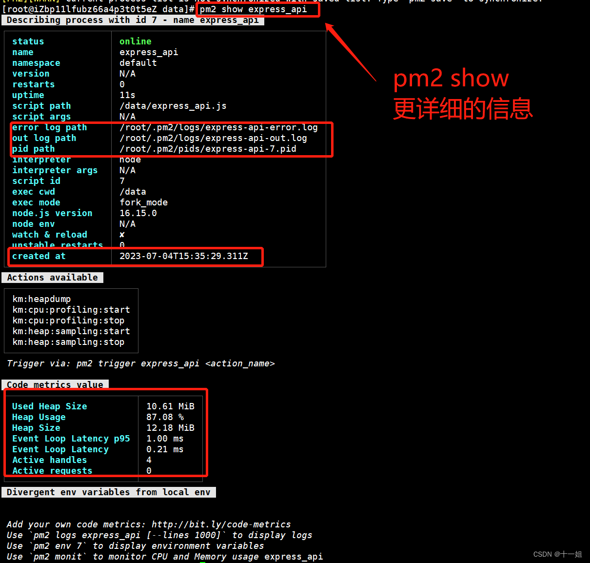 nodejs-pm2管理js并发/自动重启/恢复等_pm2 nodejs-CSDN博客