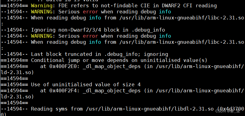Valgrind深度解析：内存问题检测与常见错误排查-CSDN博客