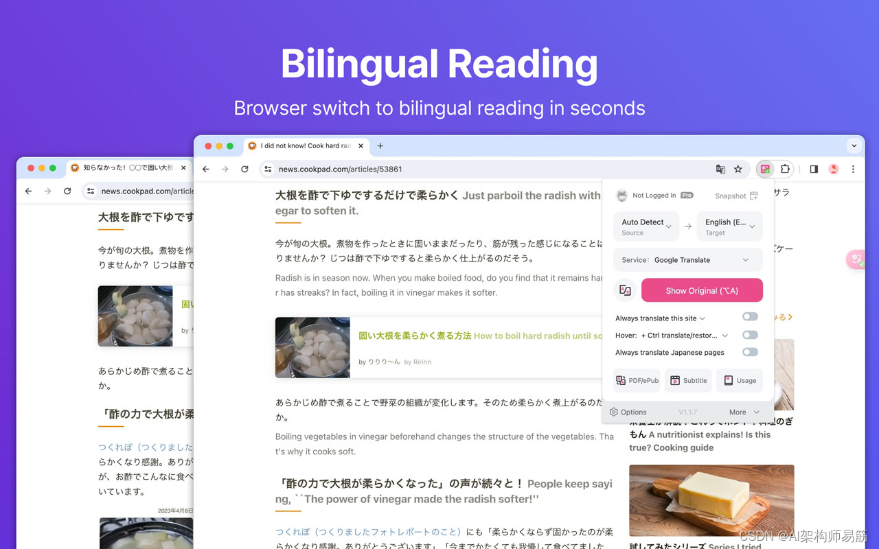 沉浸式翻译 chrome 插件 Immersive Translate - Translate Website & PDF_immersive translate插件-CSDN博客