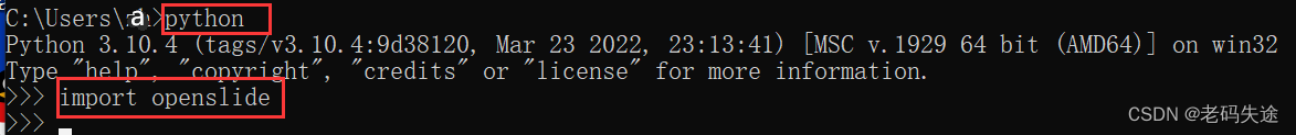 win10下最简安装openslide for python_openslide支持python版本-CSDN博客