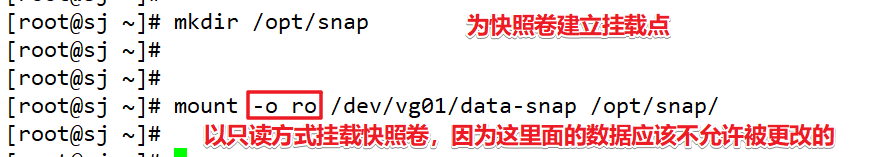 CentOS 8 逻辑卷管理LVM详解（扩容、快照等）_pvcreate lvm1 lvm2-CSDN博客