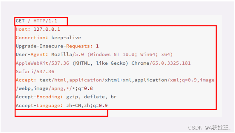 计算机网络学习day02|HTTP协议_trace+url+什么意思-CSDN博客