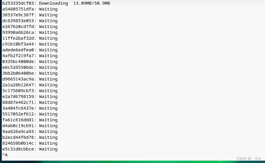 Docker安装及Docker构建简易版Hadoop生态_docker安装hudi-CSDN博客