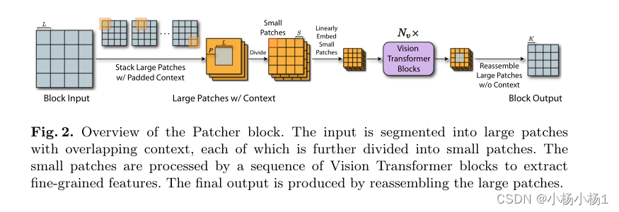 Patcher：用于精确医学图像分割的混合专家patch Transformers_计算机视觉_松下直子-DAMO开发者矩阵