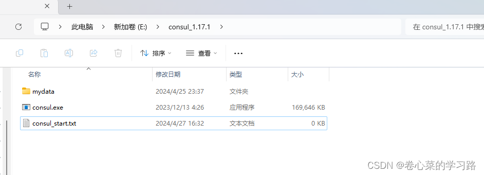 Consul 详细安装教程，以及配置持久化以及注册为服务详细教程_consul安装-CSDN博客