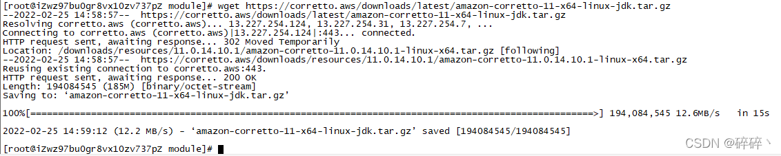 Linux中安装亚马逊OpenJDK11_amazon-corretto-11.0.12.7.1 linux download-CSDN博客