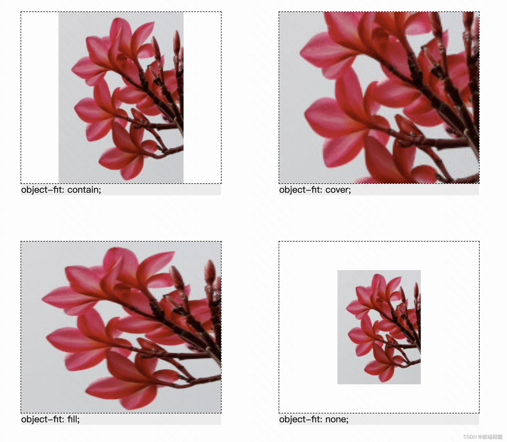 object-fit CSS 属性_css object-fit属性-CSDN博客