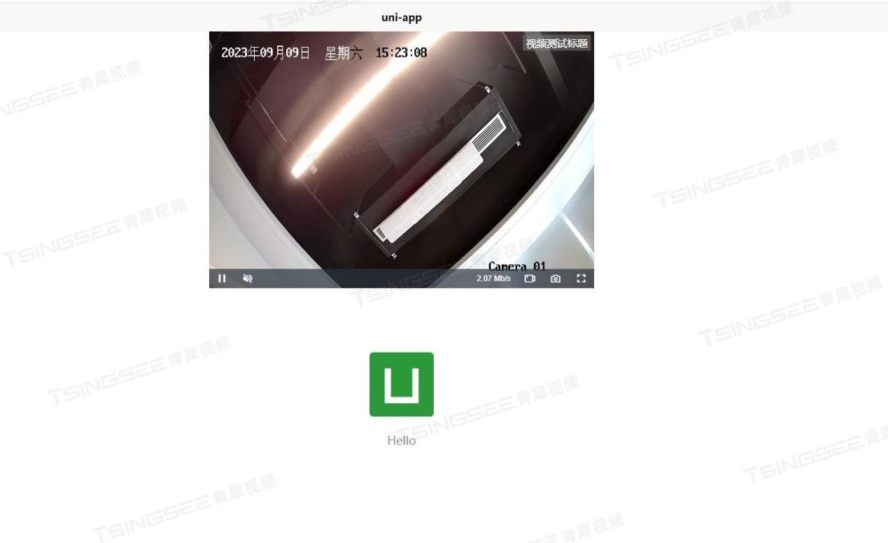 【FAQ】如何在uniapp框架中集成H.265流媒体视频播放器EasyPlayer.js？_app播放h265的flv视频-CSDN博客