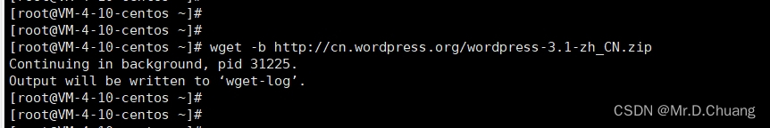 Linux：wget后台下载/查看后台任务进度_linux怎么看文件的下载进度-CSDN博客