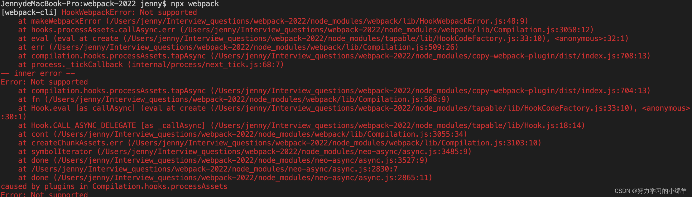 copy-webpack-plugin HookWebpackError: Not supported-CSDN博客