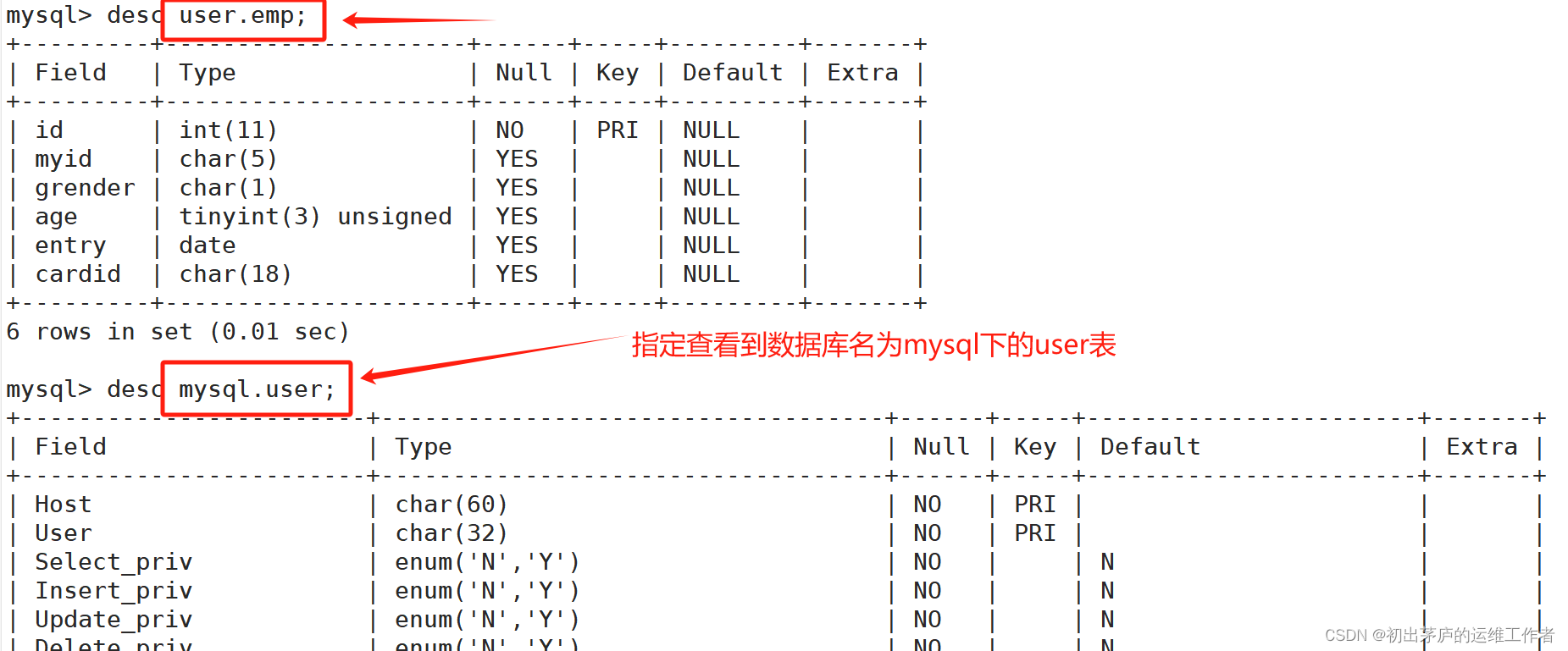 MySQL基础教程：SQL语句、数据操作与权限管理-CSDN博客