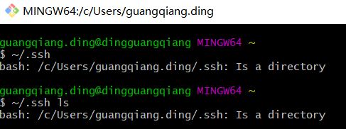 Gerrit Gerrit服务器简介 与 配置SSH keys_服务器和本机的ssh keys-CSDN博客