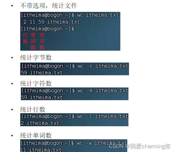 Linux命令快速入门：cd,pwd,mkdir与文件复制-CSDN博客