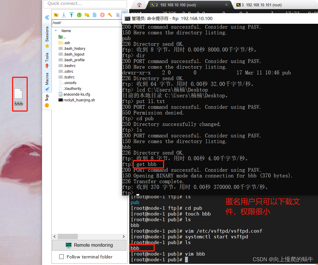FTP基本理论和匿名用户的基本操作_ftp anonymous-CSDN博客