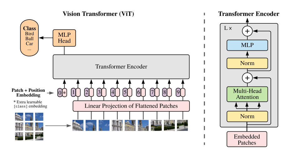 【Network】IPT(Pre-Trained Image Processing Transformer)_ipt transformer-CSDN博客