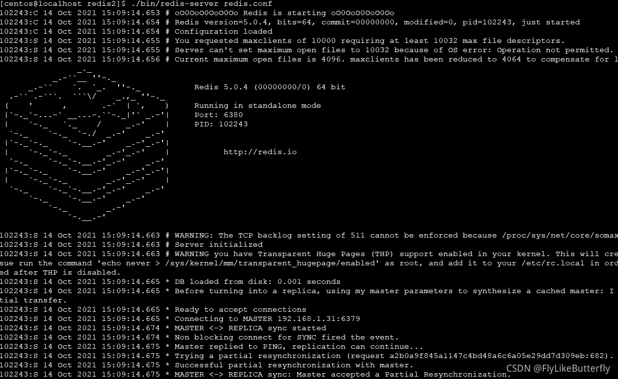 Redis——master-replica主从同步_redis masteruser-CSDN博客