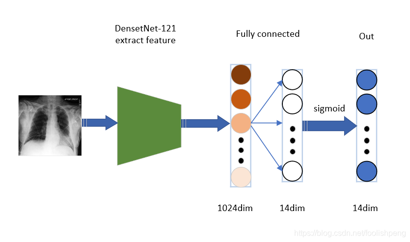 论文笔记：CheXpert: A Large Chest Radiograph Dataset with Uncertainty Labels ...