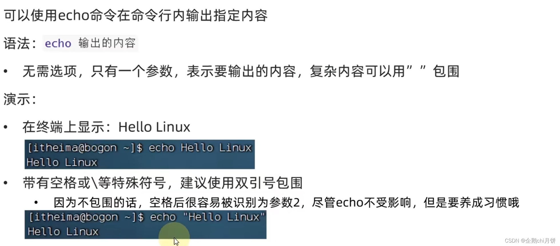 Linux命令进一步学习：which，find，grep，管道符，echo，tail，重定向符，Vim编辑器详细介绍，终端快捷键和小技巧_which echo-CSDN博客
