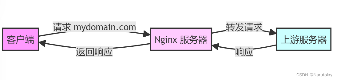 解决 Nginx 反向代理中的 DNS 解析问题：从挑战到突破20231228_nginx 反向代理 ,必须公网dns解析-CSDN博客