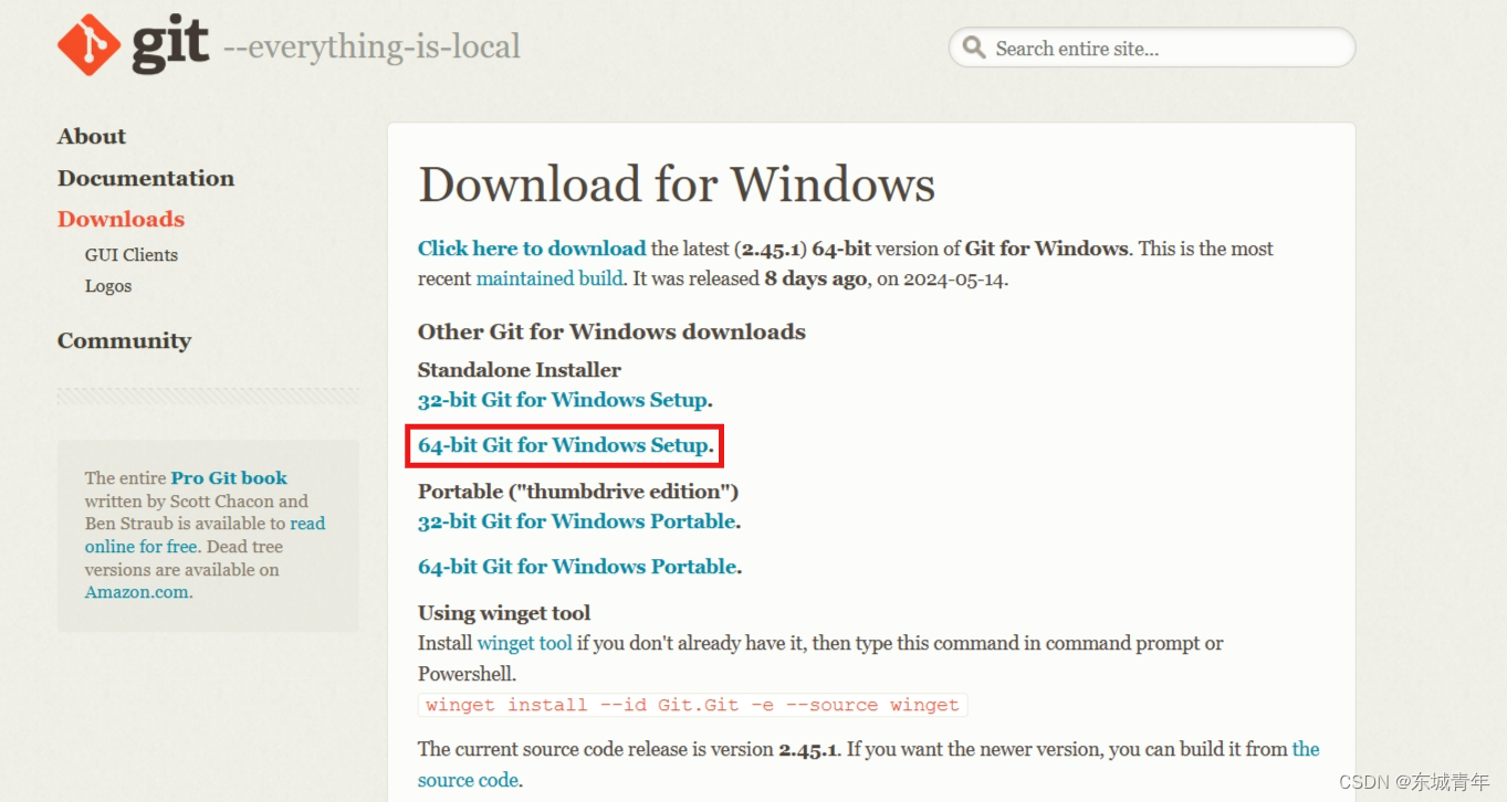 Git使用教程：最详细、最傻瓜、最浅显、真正手把手教_git 傻瓜-CSDN博客