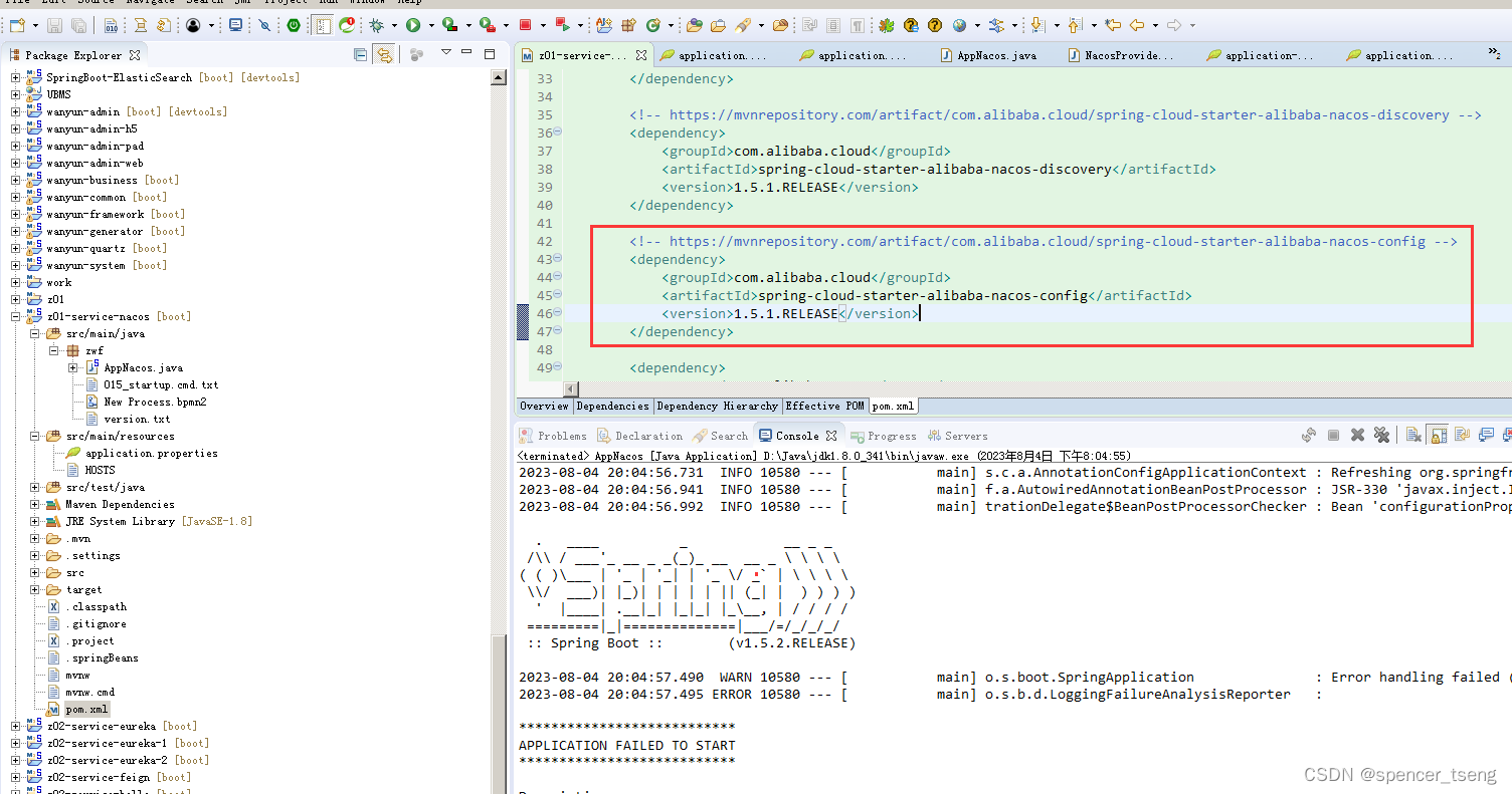 Application failed to connect to Nacos server: ““Action:Please check your Nacos server config-CSDN博客
