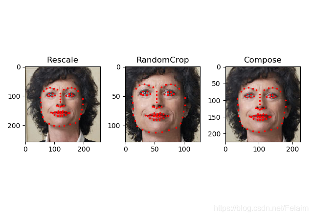 Pytorch:Load and Preprocess Images (五)-CSDN博客