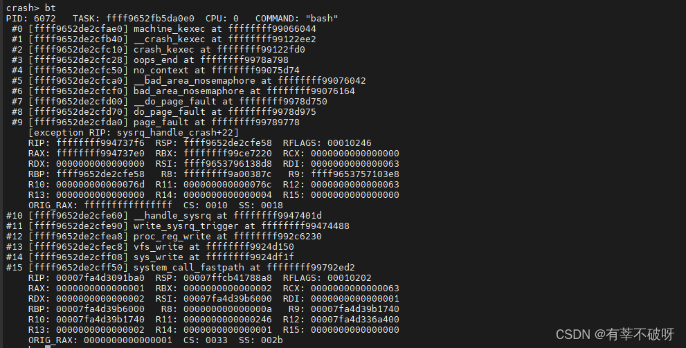 LINUX常用工具之kdump分析-CSDN博客