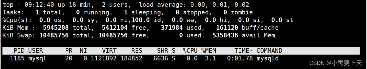 Linux命令(41)之top_top刷新间隔-CSDN博客