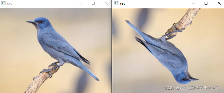 opencv之重映射remap_remap 在opencv哪个文件-CSDN博客