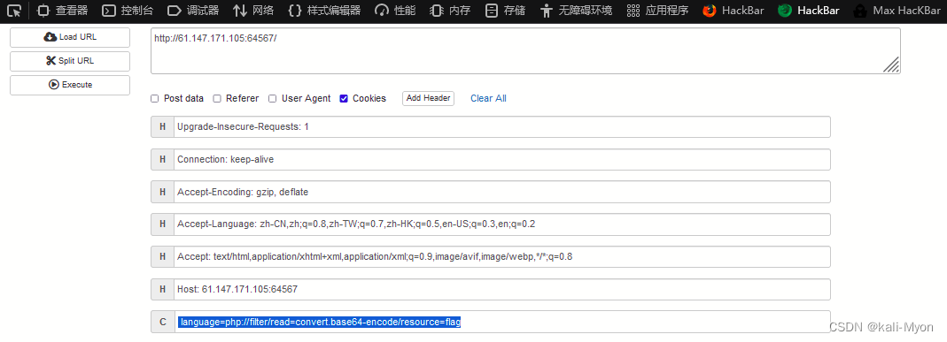 fileinclude（通过cookie赋值的文件包含）_cookie文件包含-CSDN博客