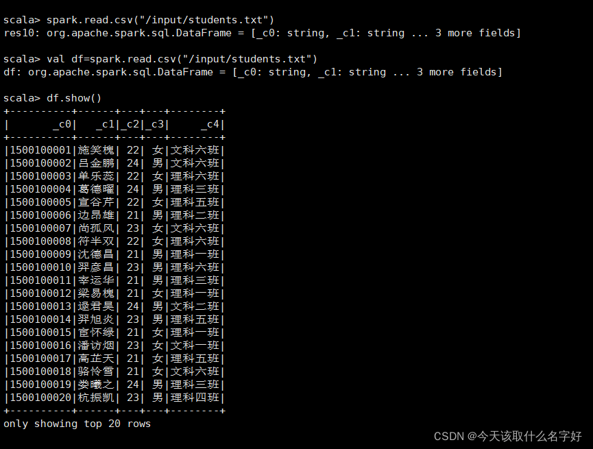 SparkSQL详解：DataFrame, DataSet及其与RDD的关系-CSDN博客