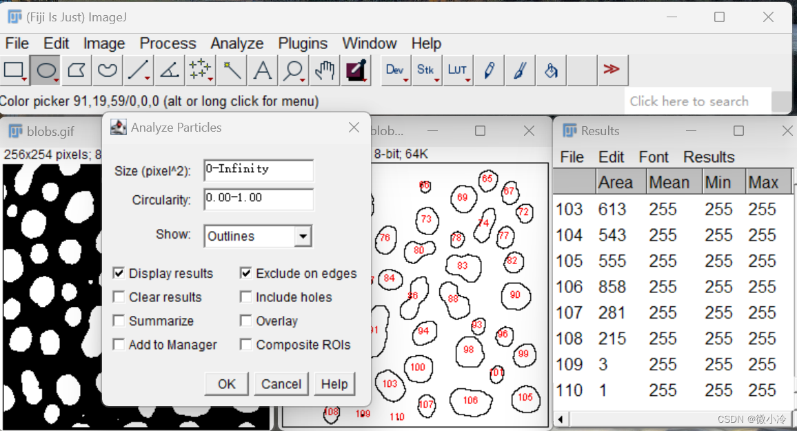 ImageJ中的距离测量与批量斑点分析-CSDN博客
