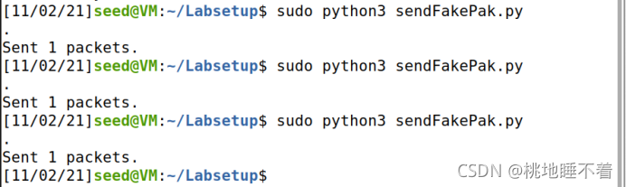 从入门到入土： Seed Lab Packet Sniffing And Spoofing Lab嗅探与欺骗实验详细说明实验步骤实验截图seed Lab实验 Csdn博客