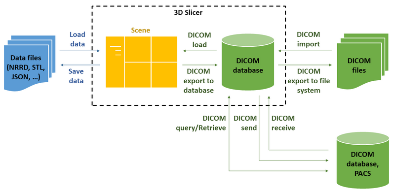 3D Slicer：从入门到精通——数据模块之DICOM_3dslicer-CSDN博客