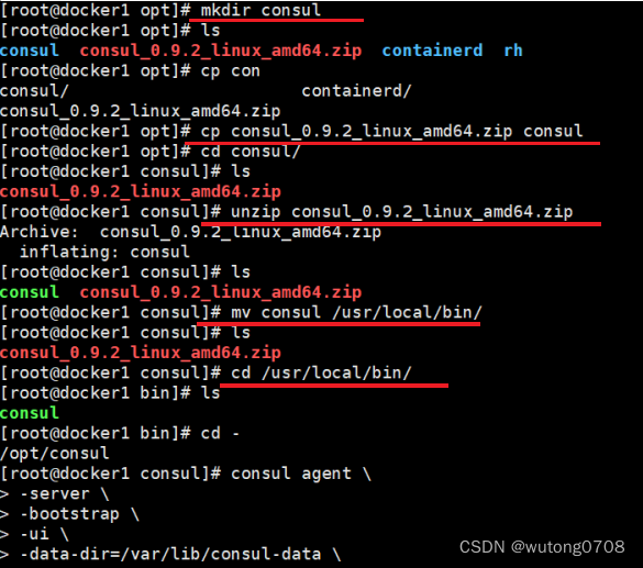 Docker consul-CSDN博客