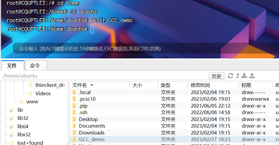 【C语言编译器】03 Linux GCC 初探_gcc -o -std=c99 demo5.c-CSDN博客