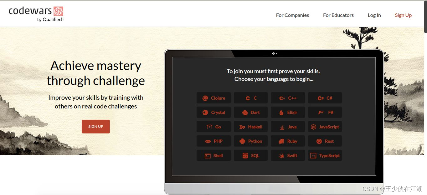 编程新手福音：Codewars实战平台推荐与学习指南-CSDN博客