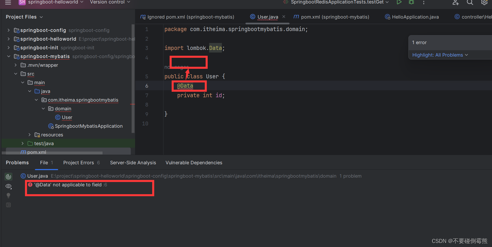 Springboot入门错误：@Data注解放置问题与Lombok配置,-CSDN博客